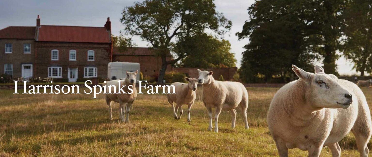 Harrison Mattress at Sleep Matters - Sleep Matters 20% Off Online